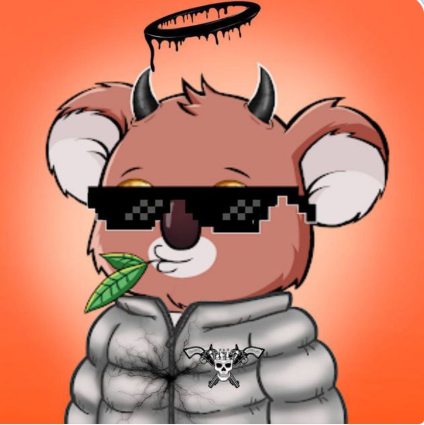 NFT_Koala - Profile | OpenSea