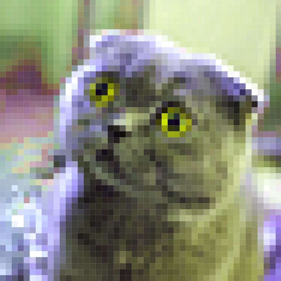 a colored pixelcat - Collection | OpenSea