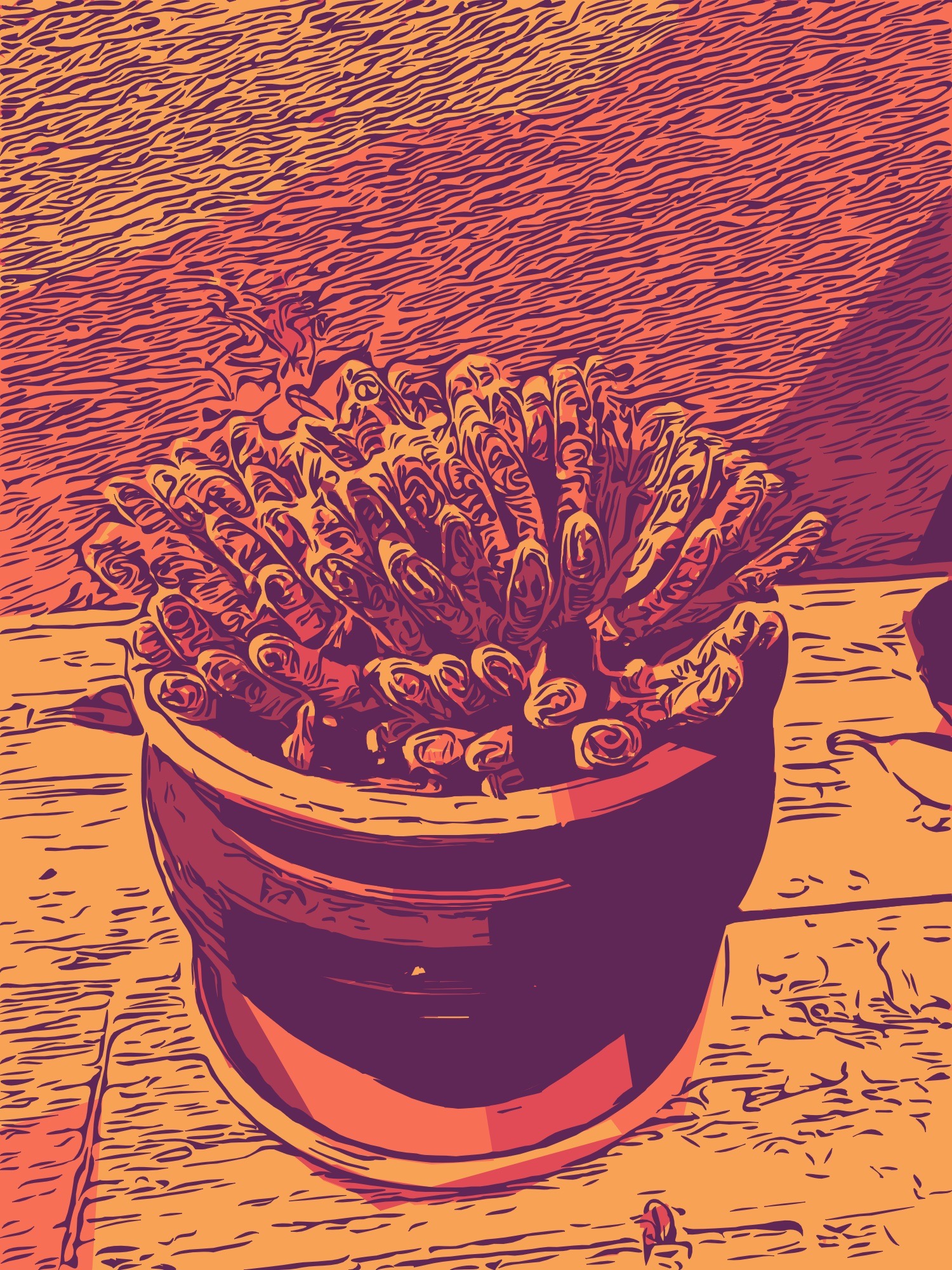 Living Plants Collection Collection OpenSea living-plants-collection-collection-opensea