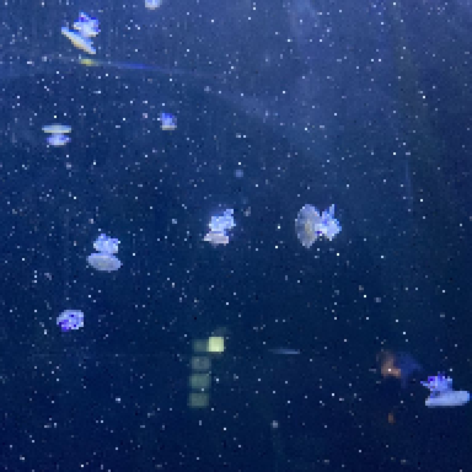 A wonderful moment - Collection | OpenSea A wonderful moment - Collection | OpenSea