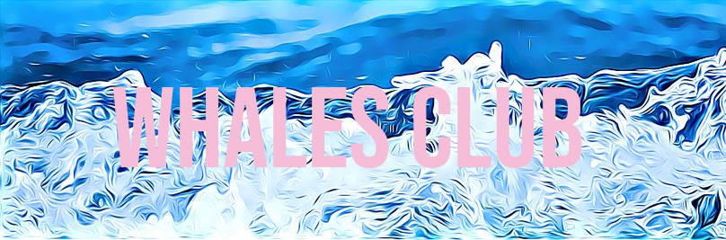 Whales Yacht Club - Collection | OpenSea