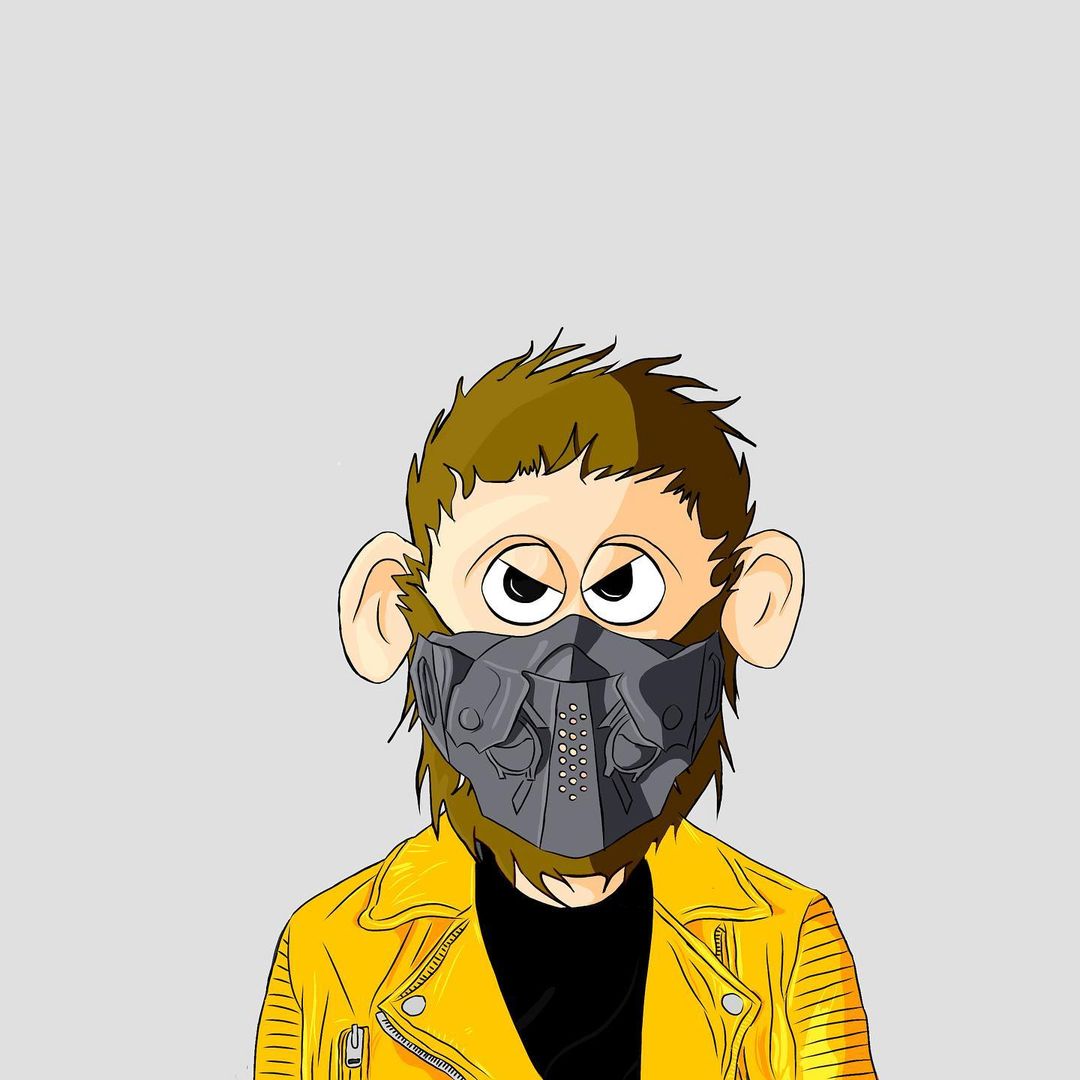 Primate Monkey NFT - Collection | OpenSea